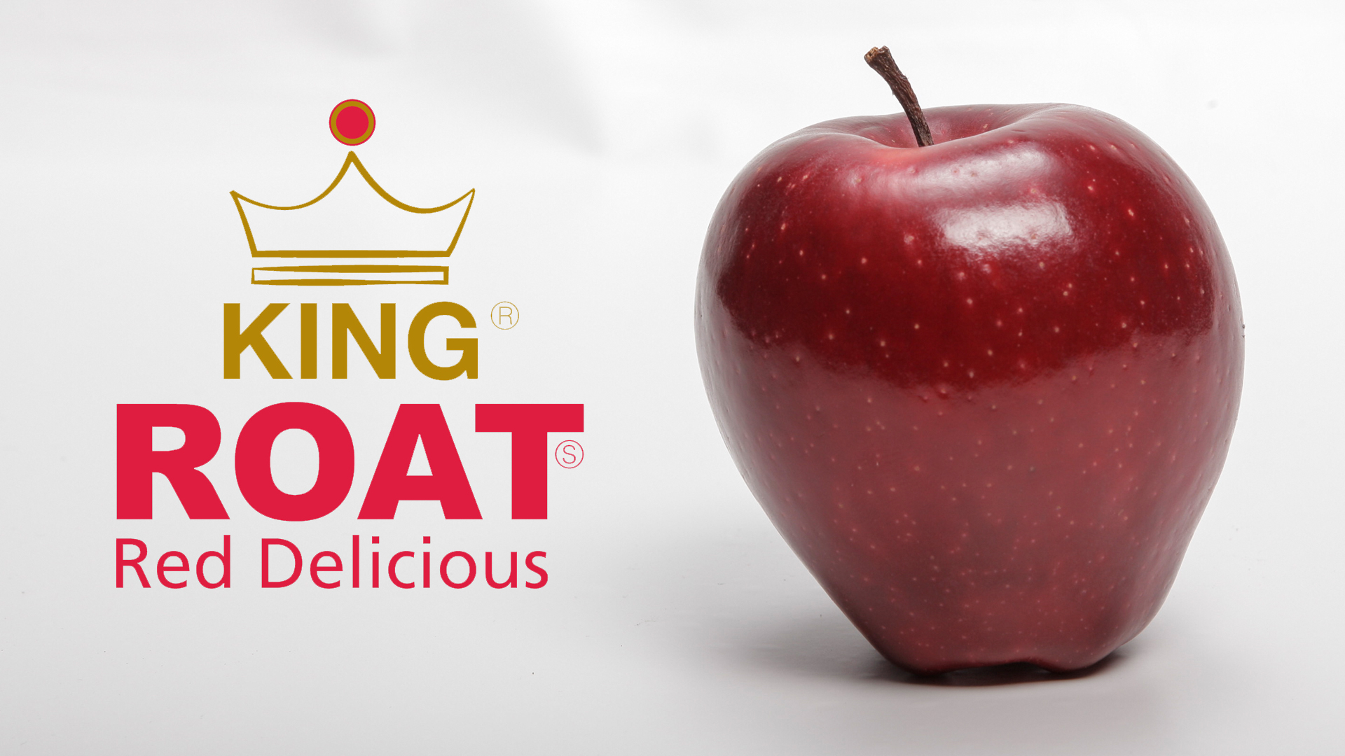 King Roat Red Delicious nr 1 - jabłka, szkółki, video, galeria